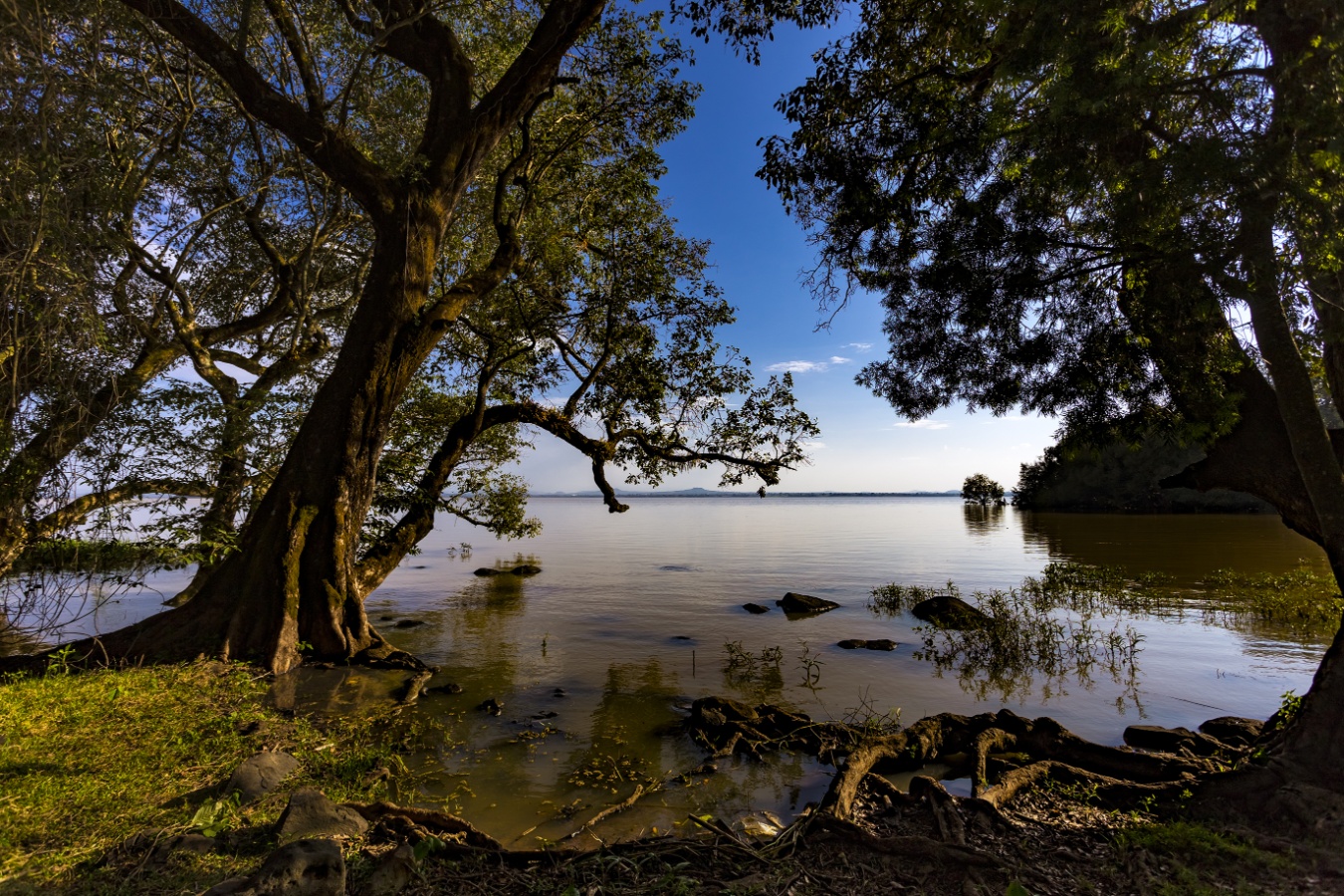 Le lac Tana – Travel Network Services